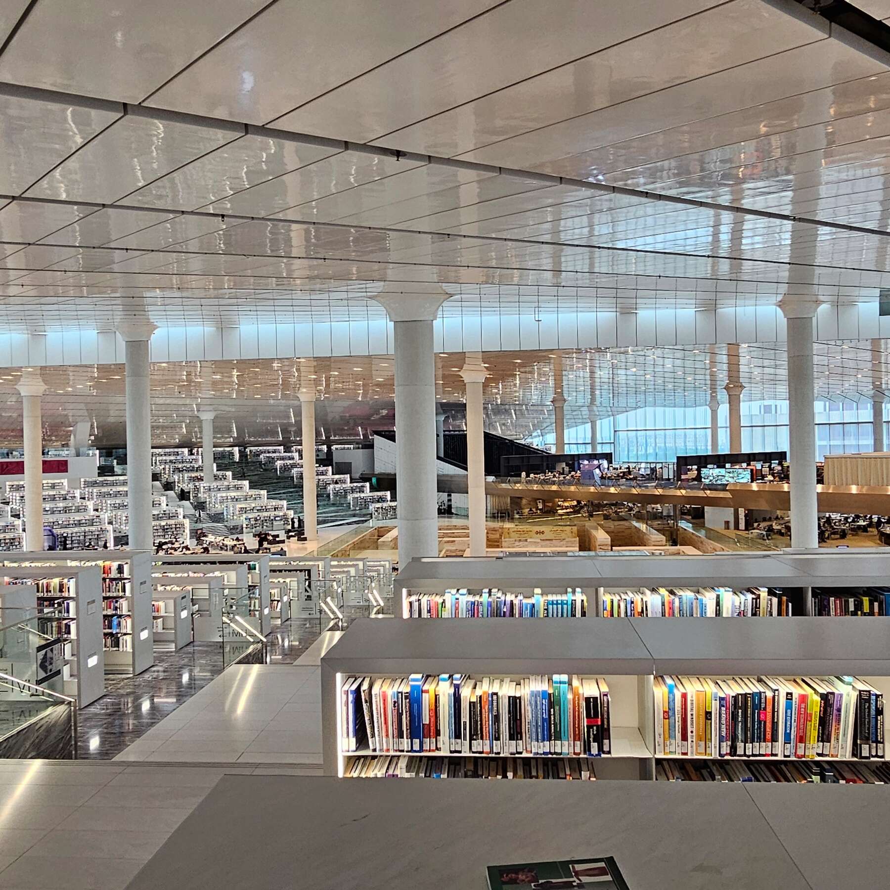 Living in Doha: What You Need to Know Before You Move